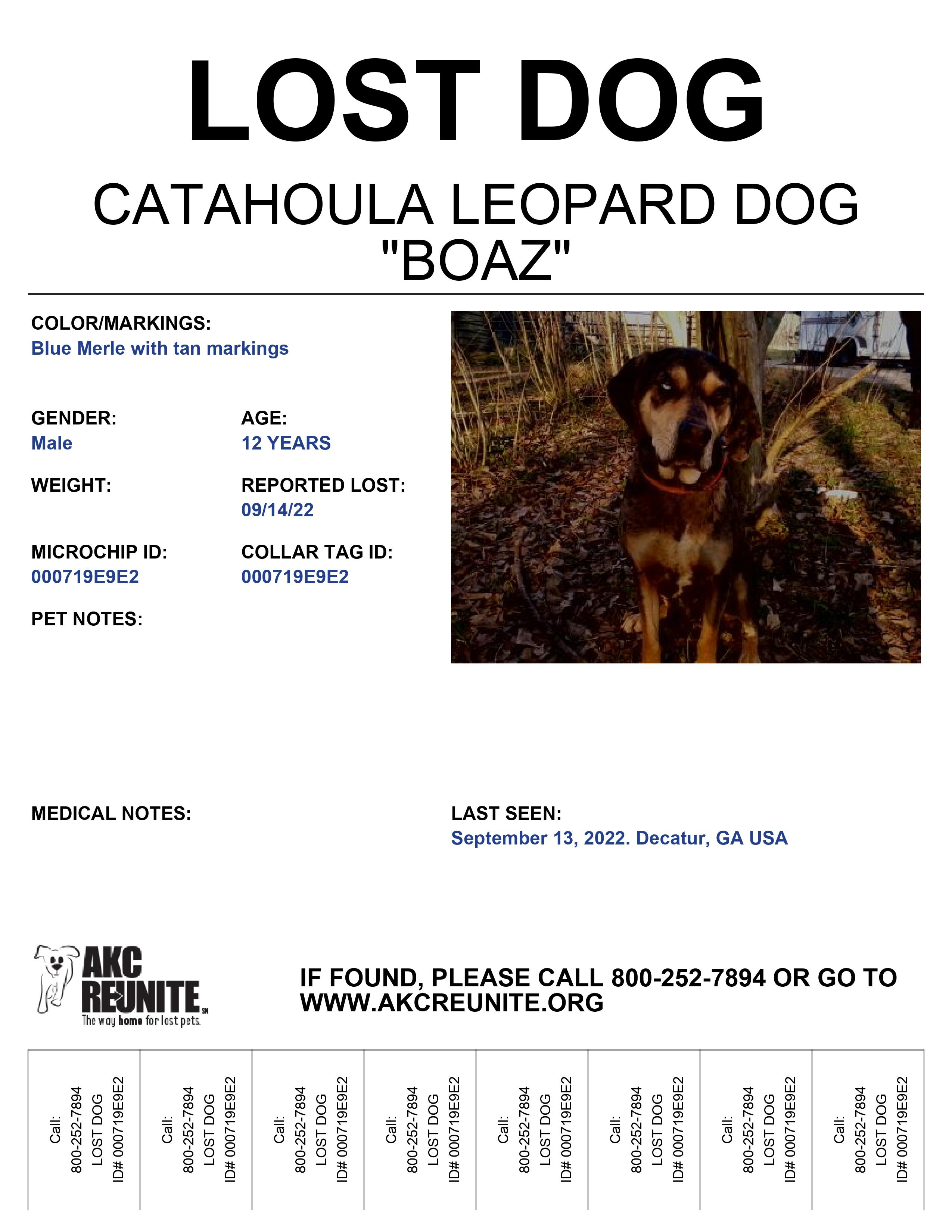 AKC REUNITE, LOST DOG ALERT – J & J Ranch, Stone Mtn, GA